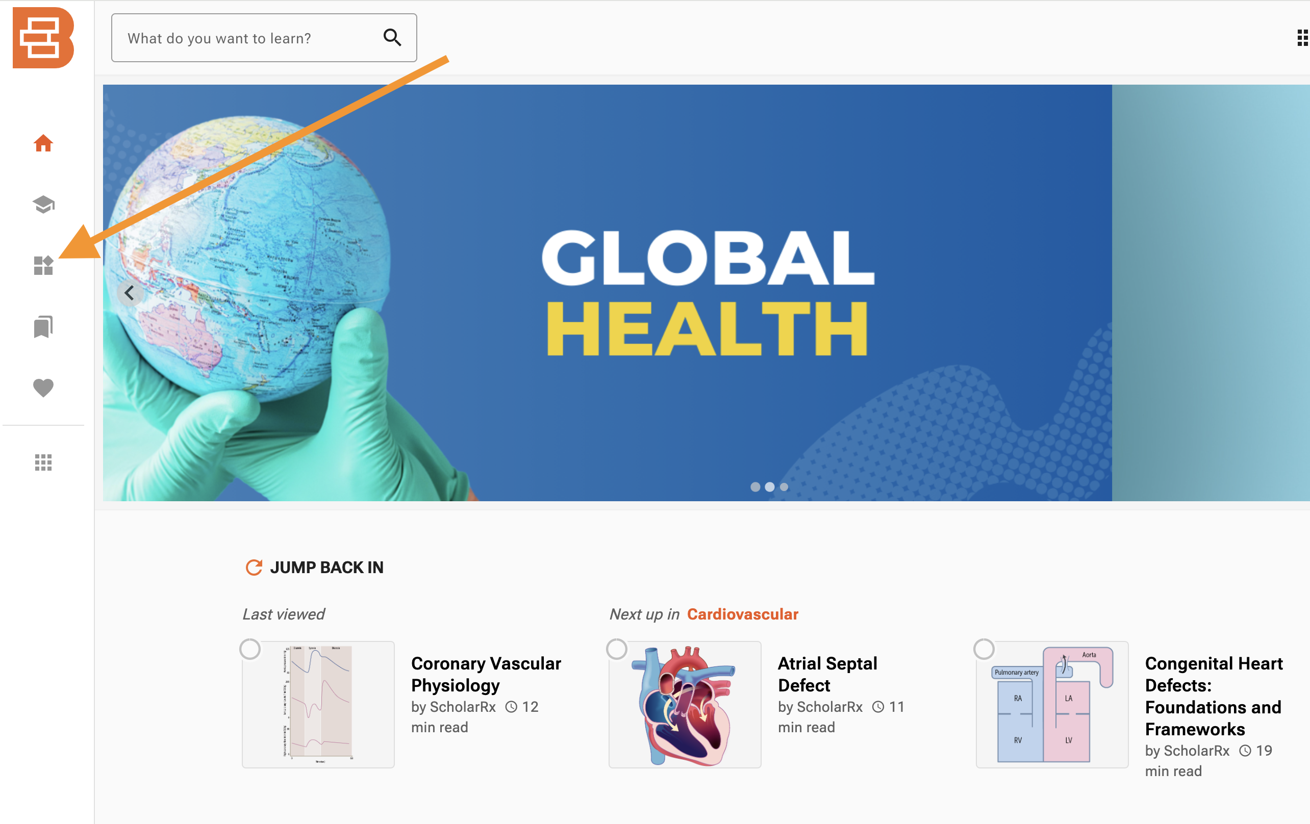 What are Collections in Rx Bricks? – USMLE-Rx