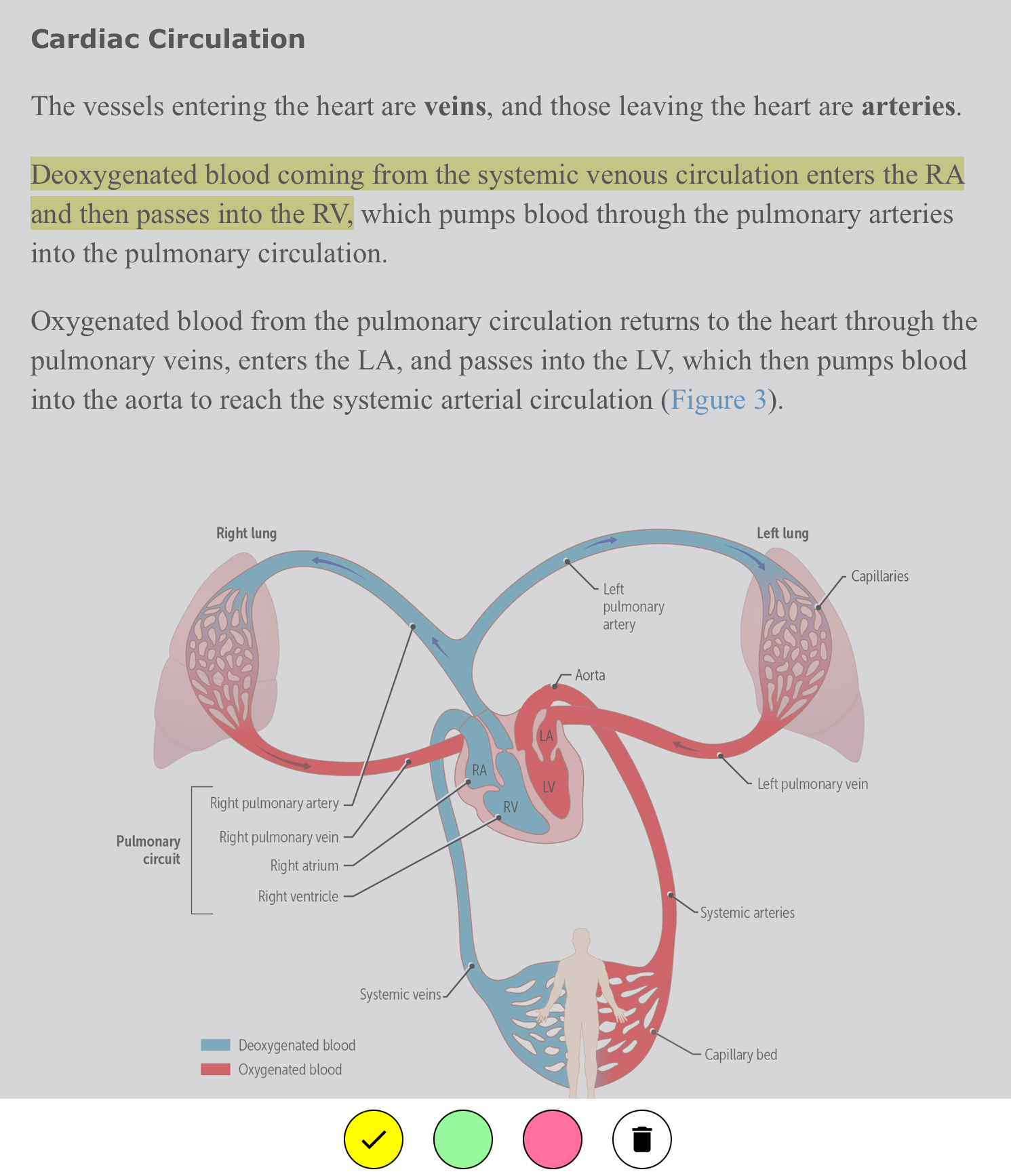 How to Use the Highlighter (Mobile App) – USMLE-Rx